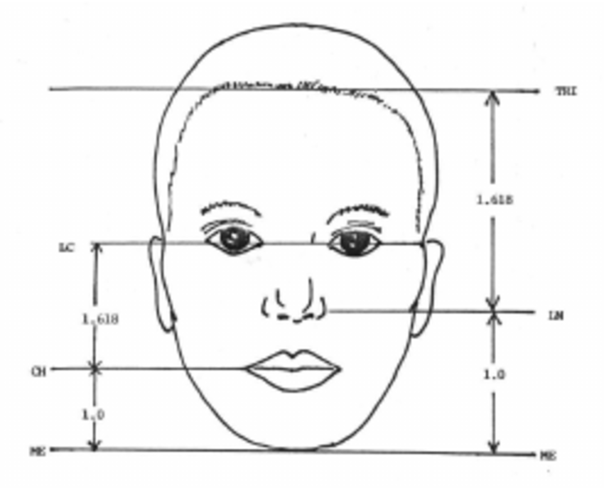 Golden Ratio Face Template